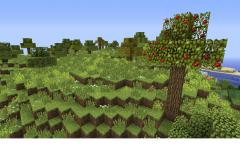 果园/果林 (Orchard) - [BOP]超多生物群系 (Biomes O' Plenty) - MC百科|最大的Minecraft中文MOD百科