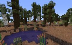 泥塘/沼泽 (Bog) - [BOP]超多生物群系 (Biomes O' Plenty) - MC百科|最大的Minecraft中文MOD百科